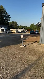 8.6K views · 313 reactions | #bp #bestprerunners #prerunner #prerunnertrucks #chevyprerunner #k5prerunner #s10prerunner 픟픢픰픱 픭픯픢픯픲픫픫픢픯픰 | Best Prerunners | Facebook