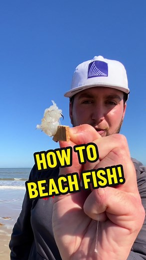 The Ultimate Guide to Beach Fishing