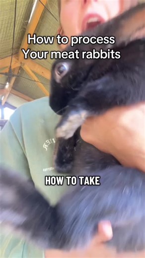 Rabbits and Roots Homestead on Instagram: "“On our homestead, we use a tool called the Hopper Popper to process rabbits quickly and humanely. Skinning is simple — the hide peels off clean, and the result is healthy, home-raised meat for the family. Would you ever raise and process your own food?”#MeatRabbits #HomesteadLife #SelfSufficientLiving #FromFeedToFreezer #HomesteadEducation"