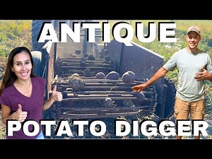 Antique Potato Digger in Action! | Making Harvest Easier on Our Small Farm