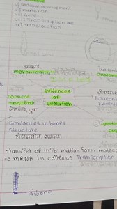 Explain the different evidences of evolutionMorphological Evi... | Filo