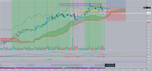 BRBR Power Bar and Protein Shakes Shakin' It UP! for NYSE:BRBR by Rocketman