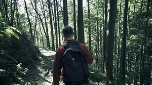 10K views · 457 reactions | Open your senses and let in breathtaking vistas, spiritual paths, and hidden escapes. The pursuit of Japan’s true spirit stops at Wakayama. | Visit Japan AU | Facebook