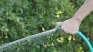 Watering a tree. Woman gardener with hose for watering the plants and trees in home garden. Woman arms are using water spraying hoses. Injection of water from rubber tube. Watering the plants backyard
