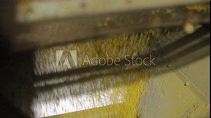 Crop view of peas grains stirring inside huge rotor and pouring through slots of mesh. Procedure of purifying and grading cereals kernels with technologic machine at manufactory.