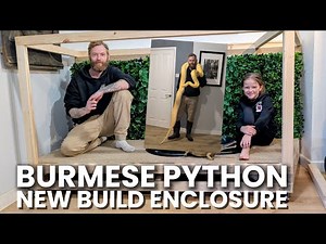 Burmese Python Enclosure - How to build a Giant Snake Vivarium