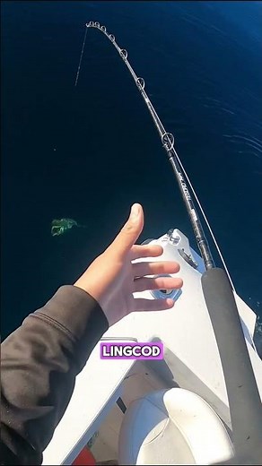 Finally Caught a Lingcod on a Jig!
