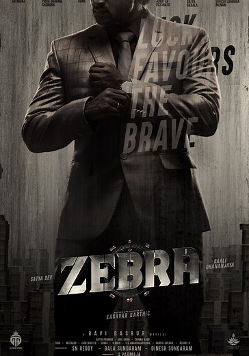 Zebra streaming: where to watch movie online?