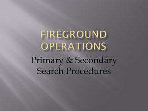 Effective Search Procedures for Firefighters - SlideServe