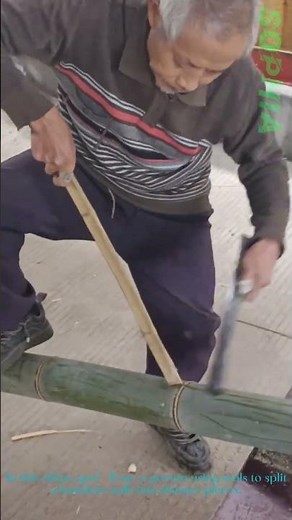 Bamboo Splitting Technique: Traditional Way to Process Bamboo Stalks
