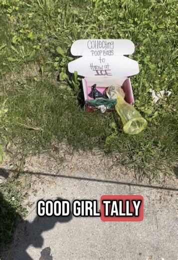 Essential Dog Walking Tips and Hacks for Enthusiasts