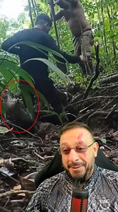 3M views · 48K reactions | Porco do mato mordeu buzanfa de caçador,...