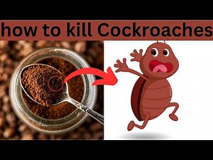 how to kill Cockroaches, Permanently from your home