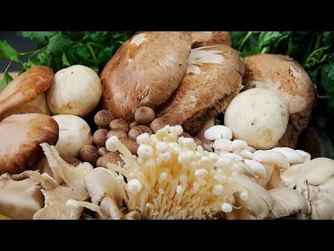 Types of Mushrooms
