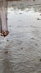 24K views · 376 reactions | Maka palit ra tag pukot puhon budii Kai Aron kita nsdt Ang mamato og lapok HAHA | Tirada budii | Facebook