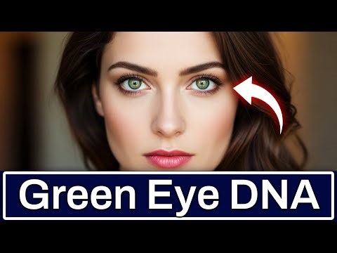 The Rare Story of Green Eyes | The Ancient Origins Scientists Finally Understand
