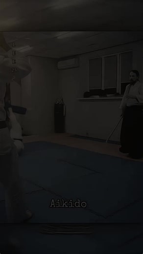 Mastering Aikido Techniques in Lookism