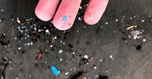 Portable microplastic testing tool develpoped by UBC researchers