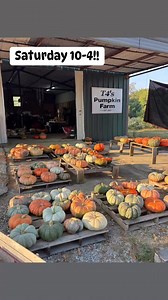 T4’s Pumpkin Farm on Reels | Facebook