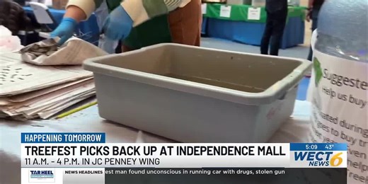 TreeFest returns to Independence Mall this weekend with free seedlings