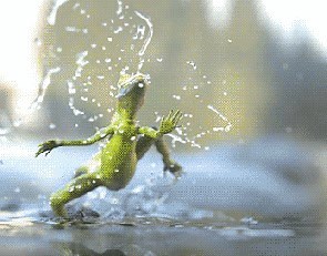 The CrossFit Online Running Course is designed for anyone looking to learn and improve their basic running technique. This course will be useful for those looking to improve their own technique or those who are instructing others. | CrossFit