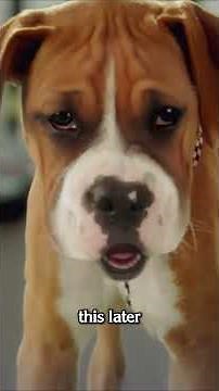 Is Spark Coming Back?