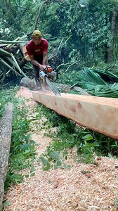 230K views · 2.5K reactions | Orderan 5/10/5meter kayu medang sangit  #operator #sensor #pekerjakayu | Reki Fernando | Facebook