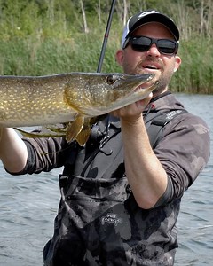 You can't go wrong with a simple setup using the legendary Zander Pro Shad 🔥 #lurefishing #foxrage #pikefishing | Fox Rage