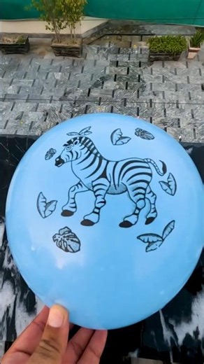 🦓 💧 What Happens When This Zebra Balloon Hits the Ground?! 💥🌼