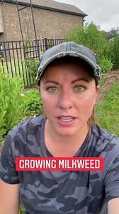 163K views · 10K reactions | What’s your favorite plant to attract pollinators? #milkweed #savethebees #savethemonarchs #pollinatorgarden | From Dream to Seed | Facebook