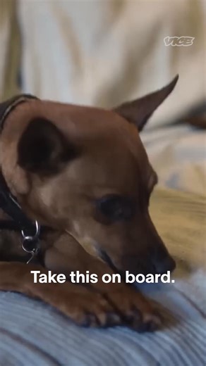 47K views · 217 reactions | This "Targeted Individual" believes he has surveillance implants in his skull  | VICE | Facebook