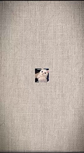 #CLASS 5B#SDN17 #fyp