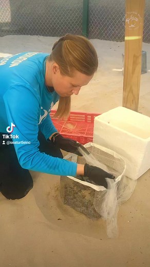 8.5K views · 337 reactions | 拾 Let’s hear it for the conservation...