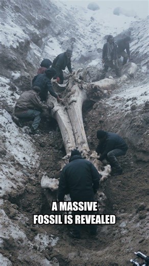 Scientists Examine Giant Bone Found After Ice Collapse