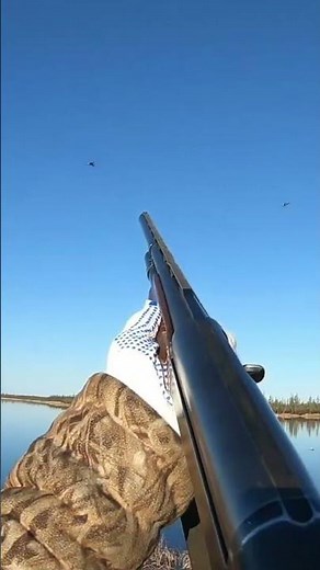 Epic Bird Hunting 2025 | Wild Outdoor Hunt USA