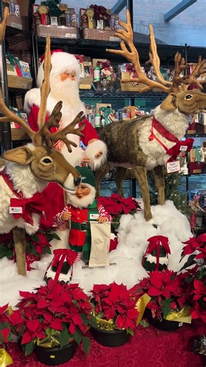 Our Nino Salvaggio's fruit market - Childhood Christmases - Days Gone By - A Very Vintage Christmas