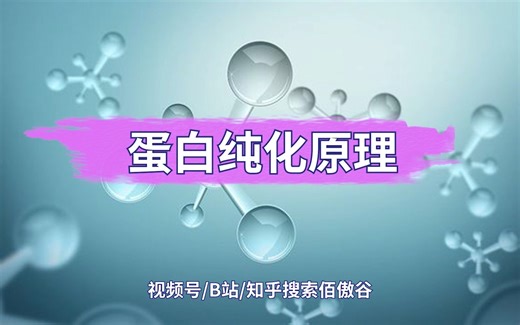 【科普】蛋白纯化原理-亲和层析