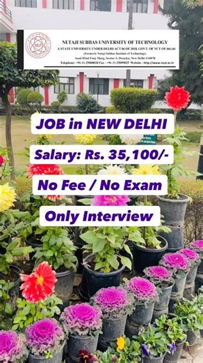 Job in Delhi / NSUT Recruitment 2026 / Job after 12th & Graduation / Salary Ra. 35,100/-