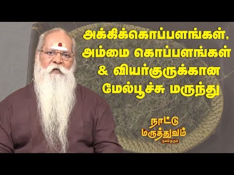 அக்கிக்கொப்பளங்கள், அம்மை கொப்பளங்கள் & வியர்குருக்கான மேல்பூச்சு மருந்து | Nattu Maruthuvam
