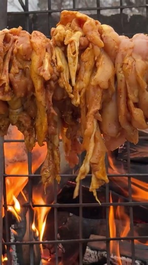 Flame-Grilled Spit Chicken Sandwich: Outdoor Cooking Delight