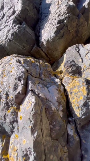 Pillow Basaltic Rocks at Gordon’s Beach Cove