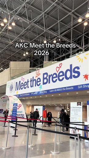 Discover Dog Breeds at AKC Meet the Breeds 2026