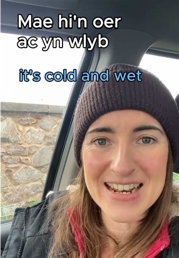 Learn to Say 'It's Cold and Wet' in Welsh