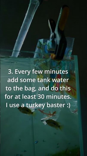 How I acclimate new fish!