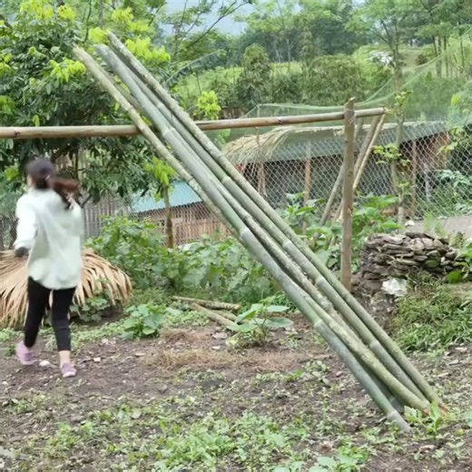 Make a climbing trellis for luffa and gourd | CR-Truck Action-cv