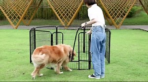 BLKMTY 40" Dog Playpen, Heavy Duty Dog Playpens, 16 Panels Metal Pet Enclosure for Indoor/Outdoor Dogs Fence Cage Fencing Doggie Rabbit Outside Fences with Door Fence Dogs Exercise Pen Crate, Black