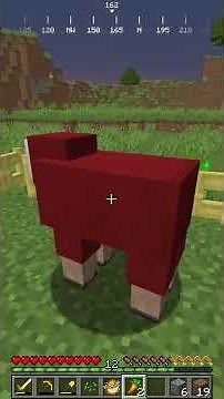 The most cursed minecraft video #minecraft #cursedminecraft