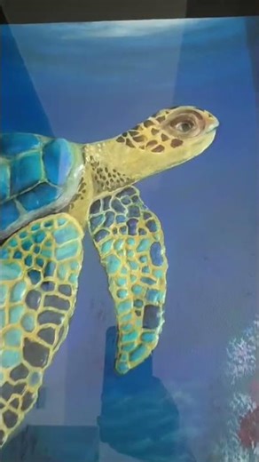 3d turtle texture art@ artstarpavi