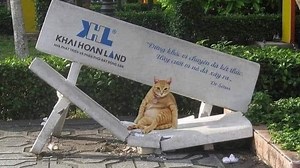 Fall guys Momento speed run