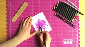 Learn how to make your coloured stamps look really professional! In this video, we're using Spectrum Noir pencils. | PaperCraft inspirations